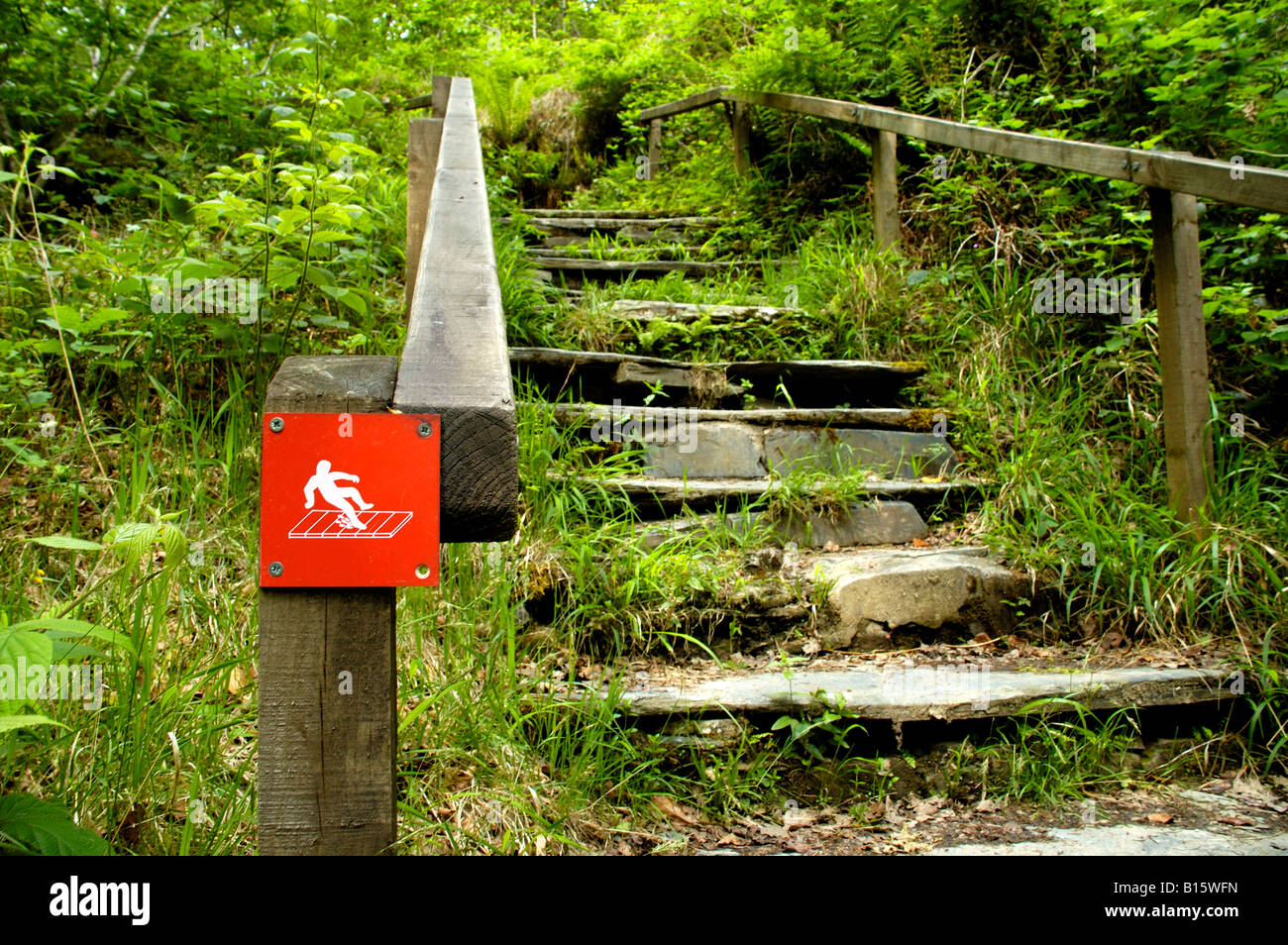 Slippery when wet sign on steps on a forest path Stock Photo - Alamy