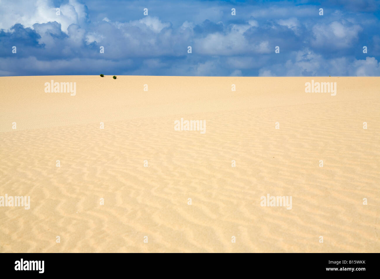 Fuerteventura corralejo beach hi-res stock photography and images - Alamy