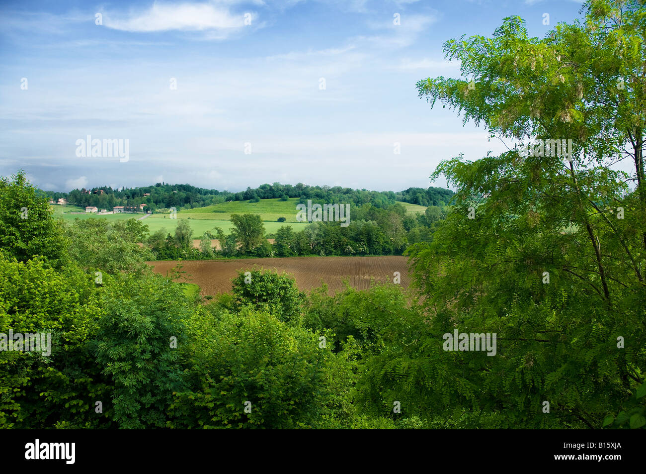 panoramic view of nature in the hills Stock Photo - Alamy