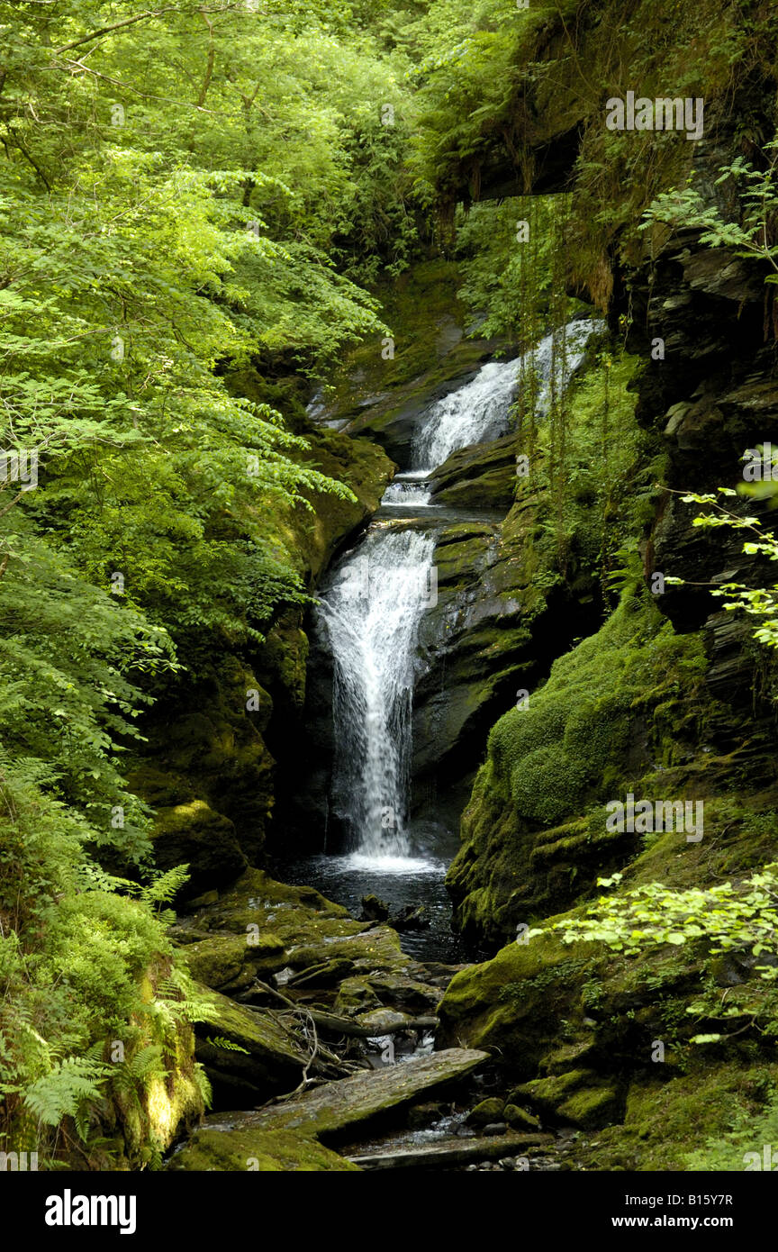 Upper Cynfal Falls near Llan Ffestiniog North Wales Stock Photo - Alamy