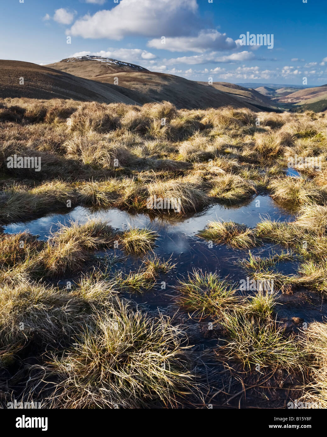 The boggy landscape of the northern Cheviots near the College Valley in ...