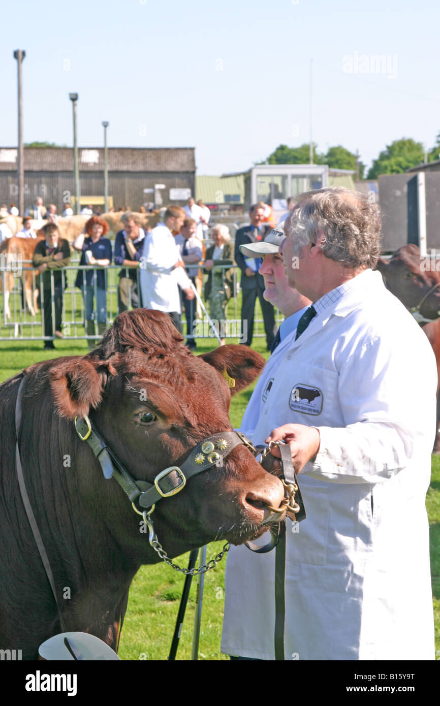 South of England Show Ardingly West Sussex UK June 2008 Stock Photo - Alamy