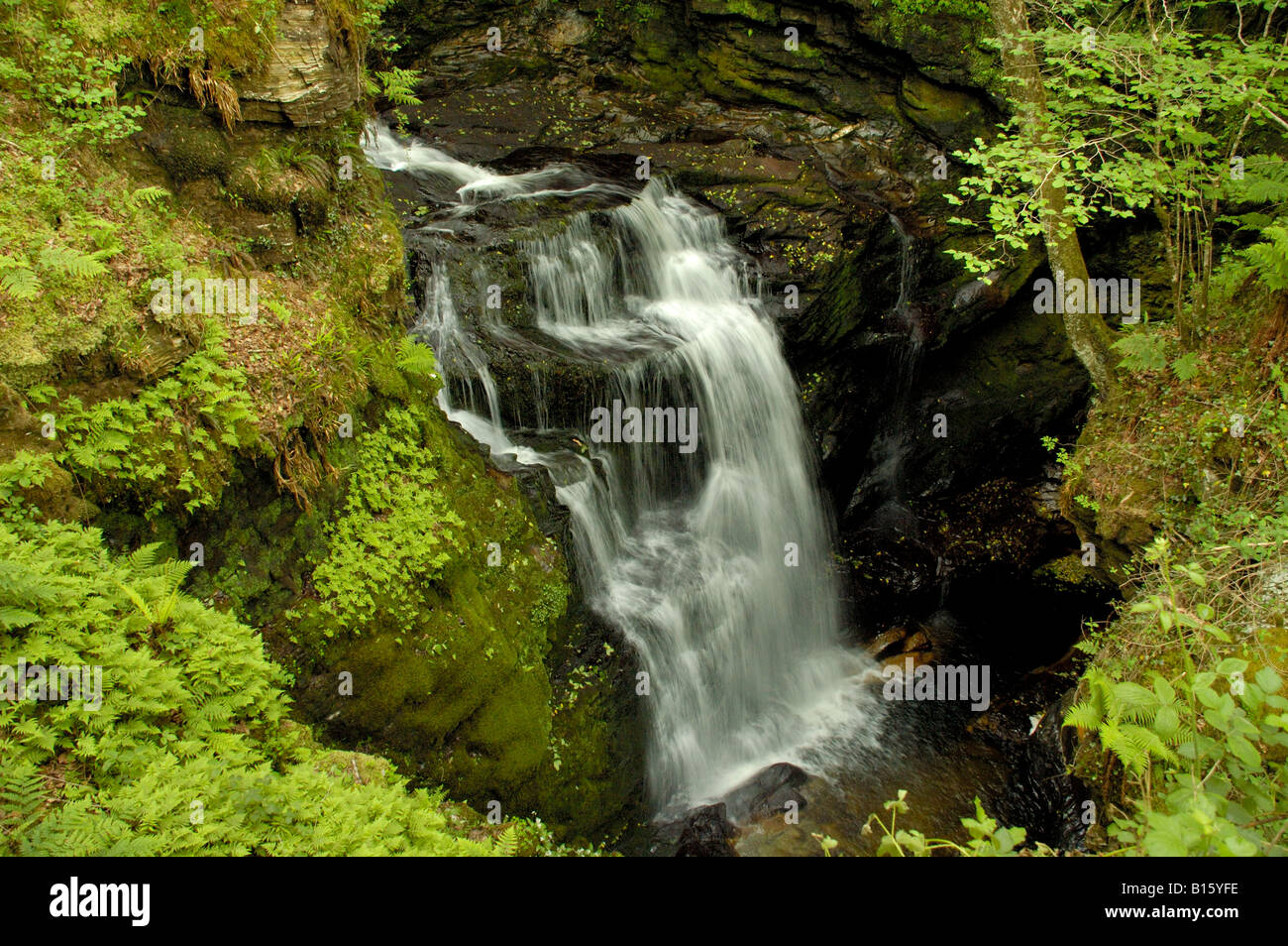 Lower Cynfal Falls near Llan Ffestiniog North Wales Stock Photo - Alamy