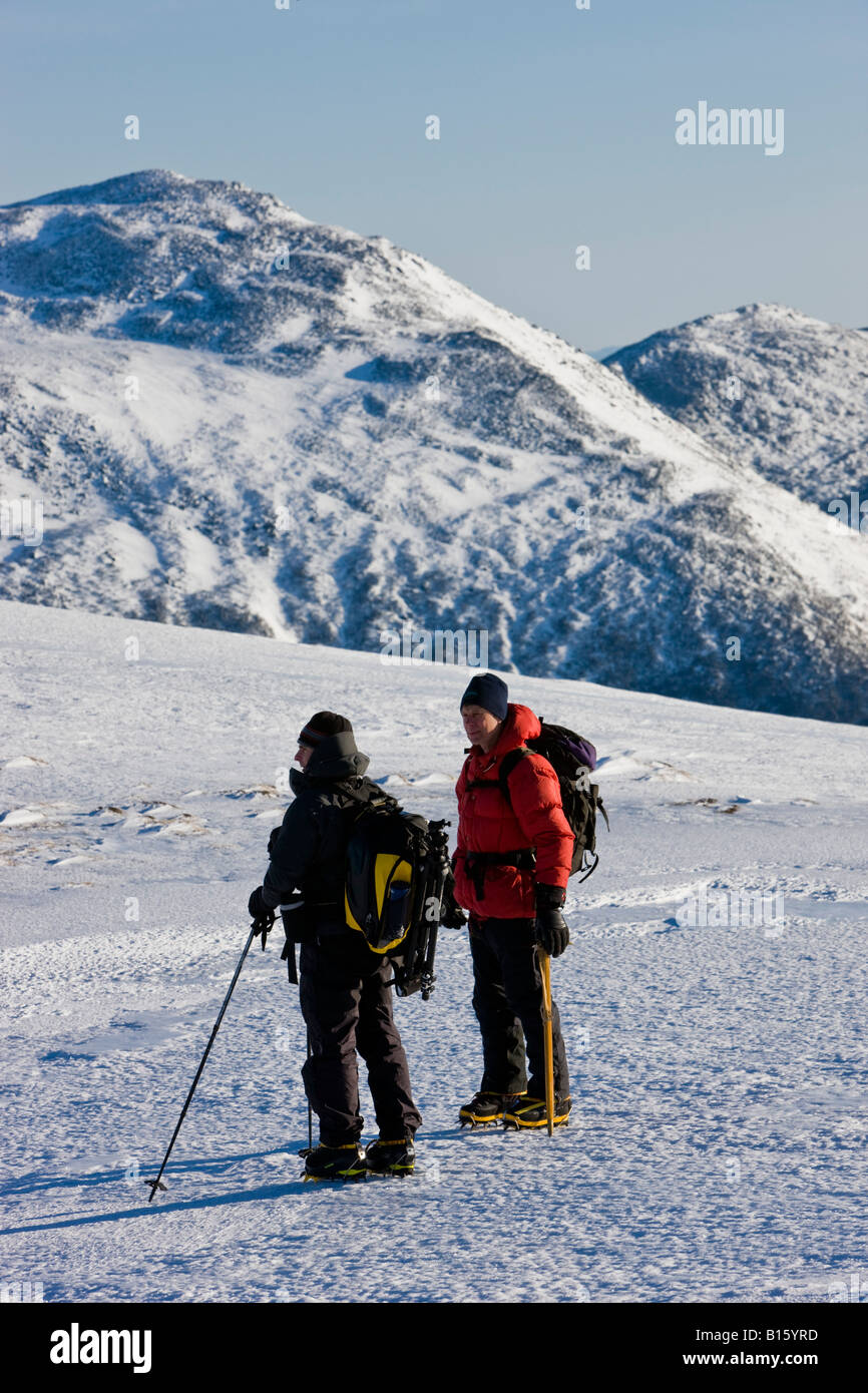 Wivell High Resolution Stock Photography and Images - Alamy