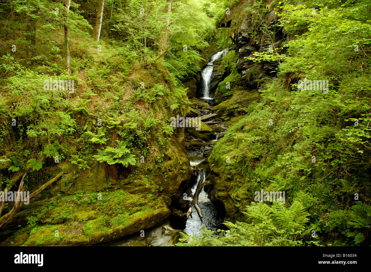 Cynfal hi-res stock photography and images - Alamy