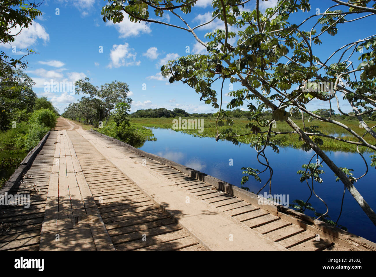 Wetlands bridge hi-res stock photography and images - Alamy