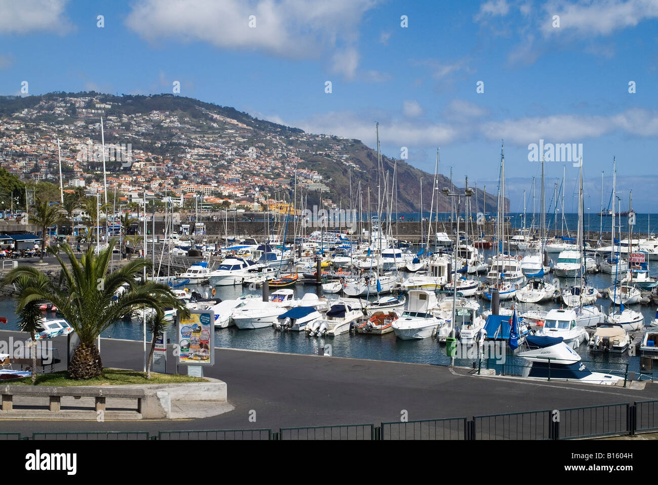 dh Funchal harbour FUNCHAL MADEIRA Funchal waterfront yachts in Stock ...