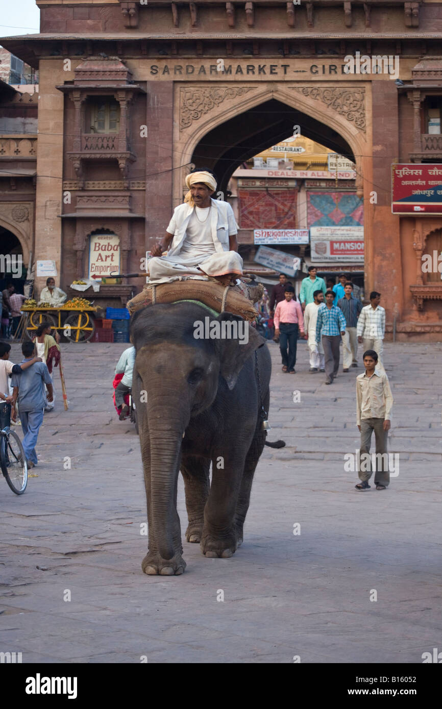 A mahoot rides his ELEPHANT into SARDAR MARKET CIRDIKOT in JODHPUR ...