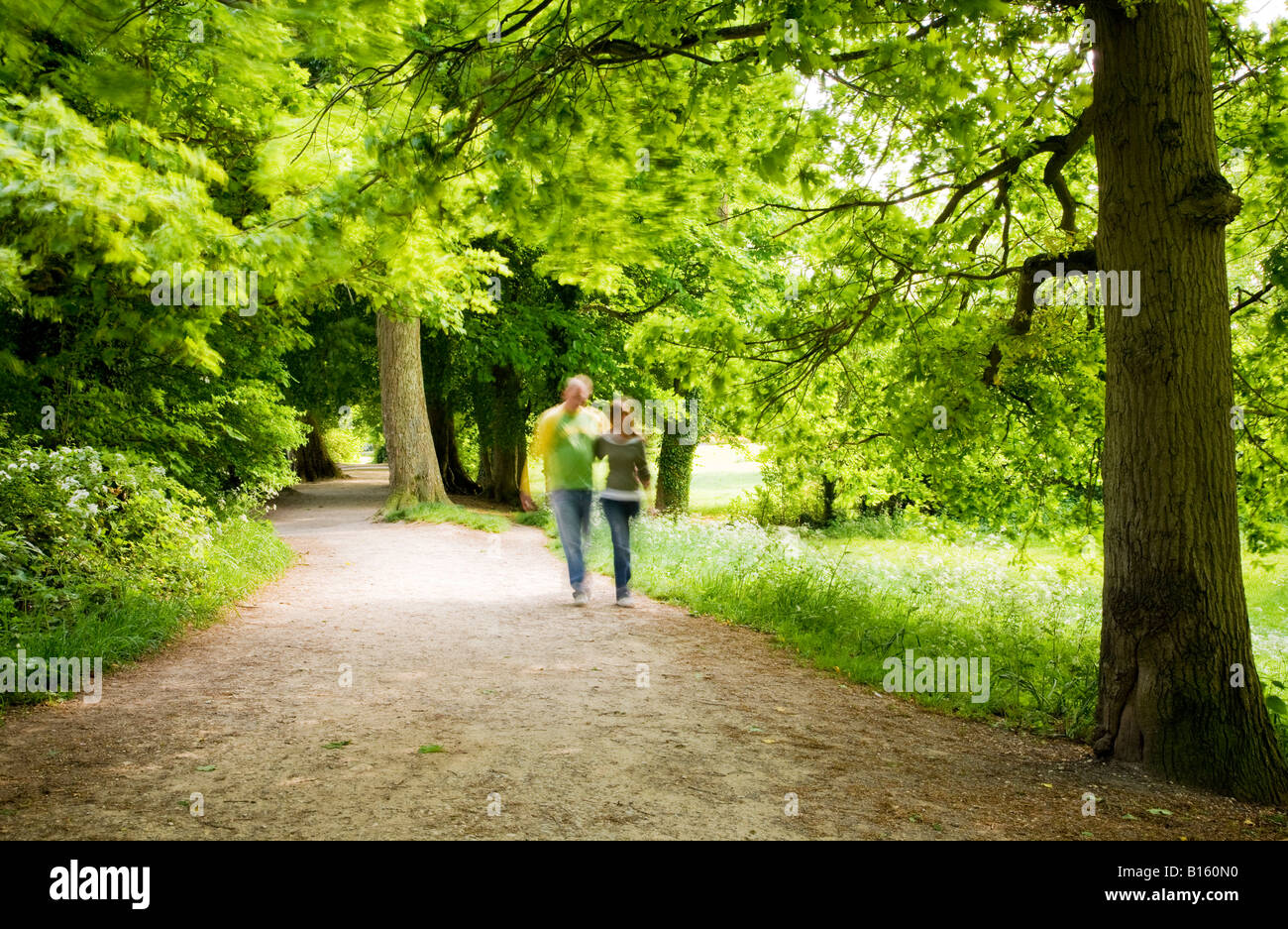 Sun dappled lane hi-res stock photography and images - Alamy