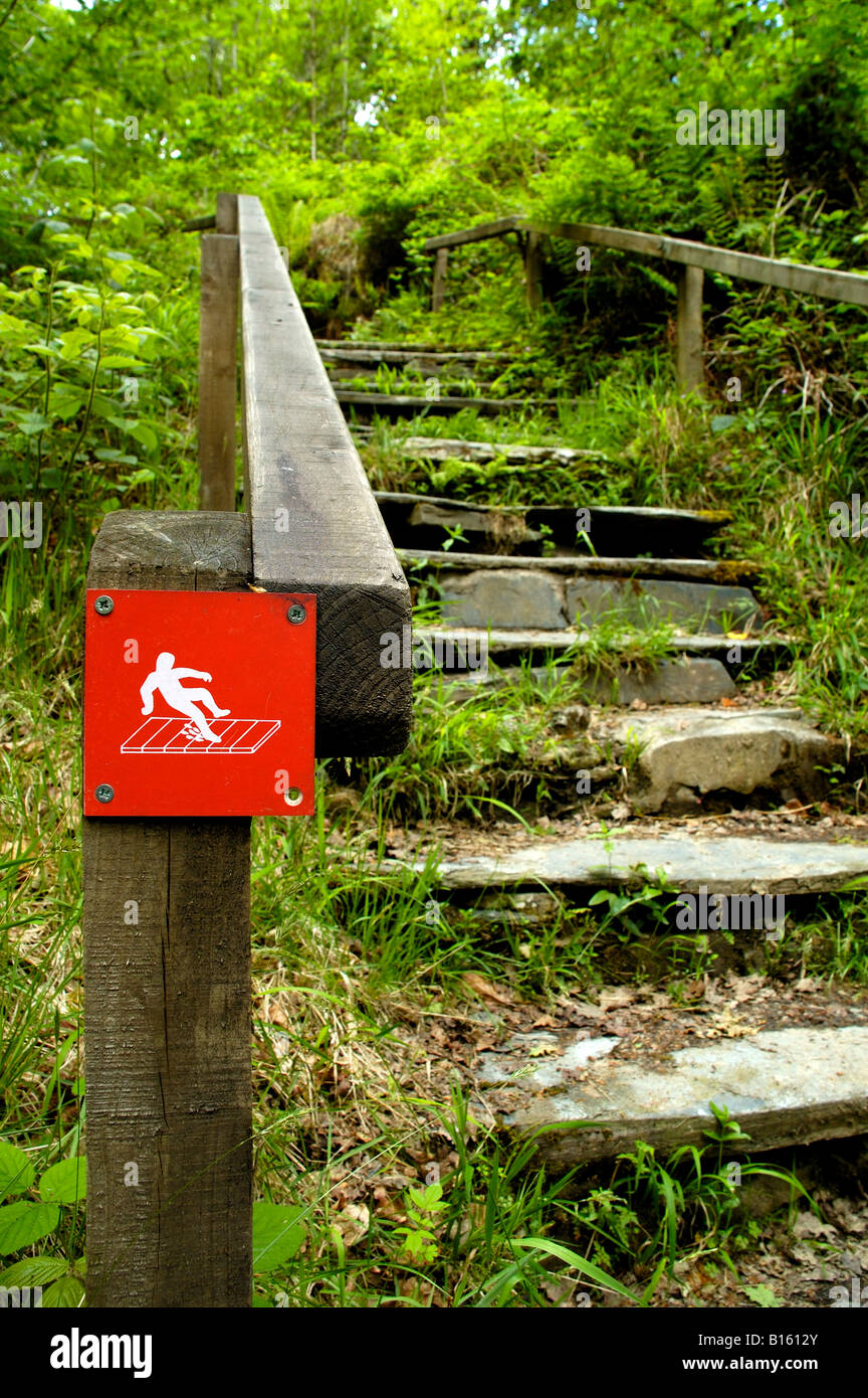 Slippery when wet sign on steps on a forest path Stock Photo - Alamy