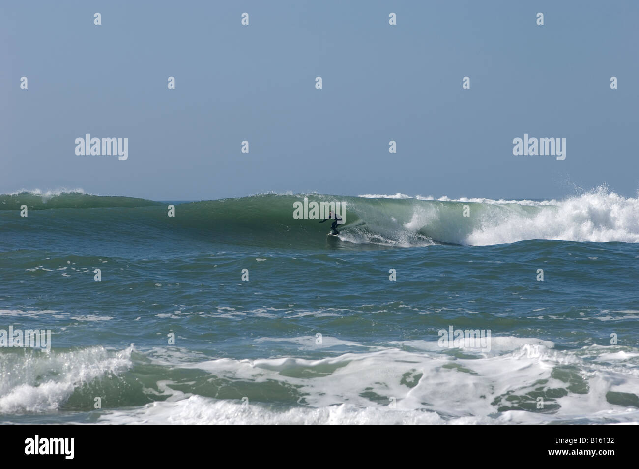 Reef surf gower hi-res stock photography and images - Alamy