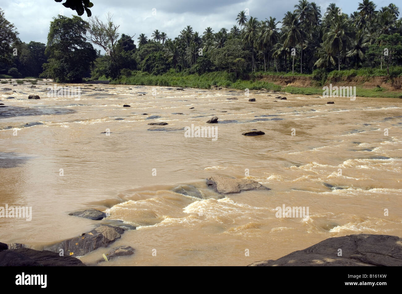 The river at Pinnewala Stock Photo - Alamy