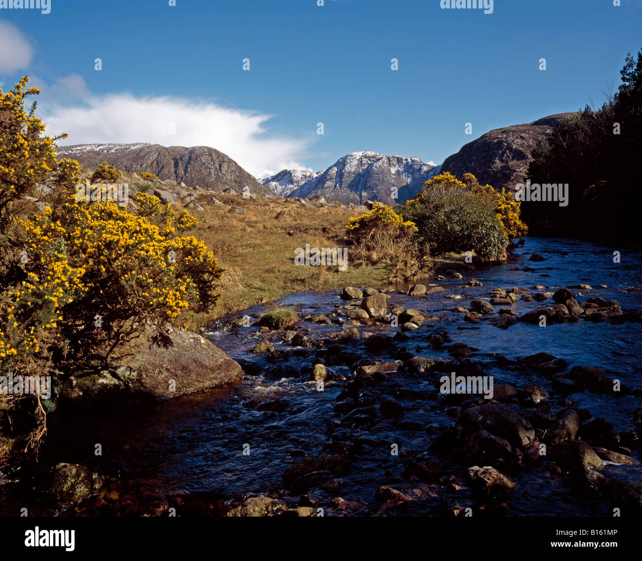 Poison glen hi-res stock photography and images - Alamy