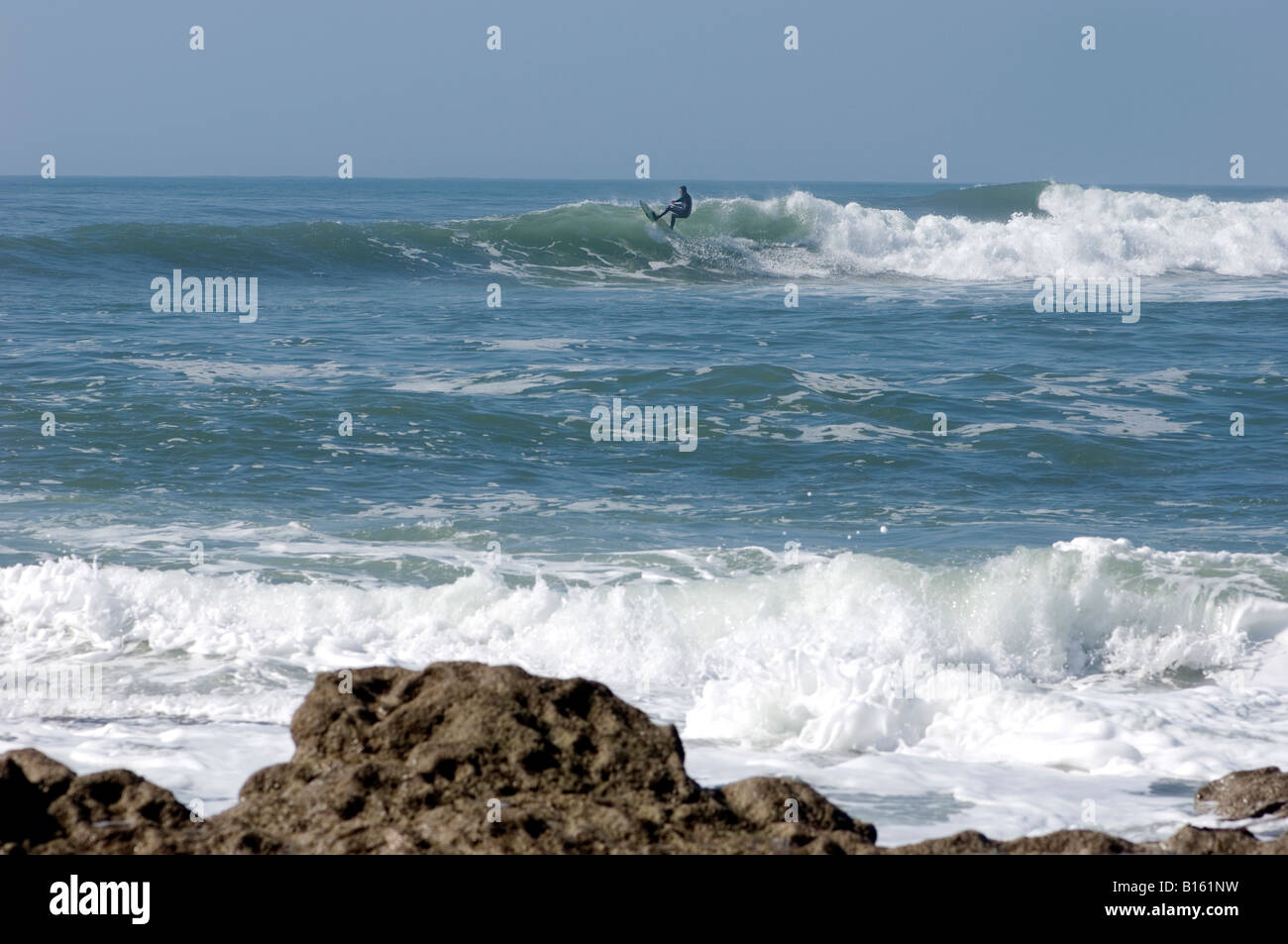 Reef surf gower hi-res stock photography and images - Alamy