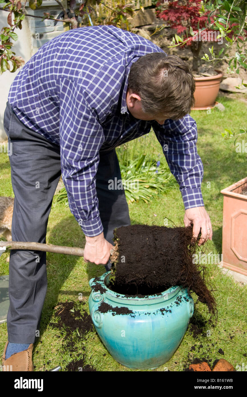 Replant hi-res stock photography and images - Alamy