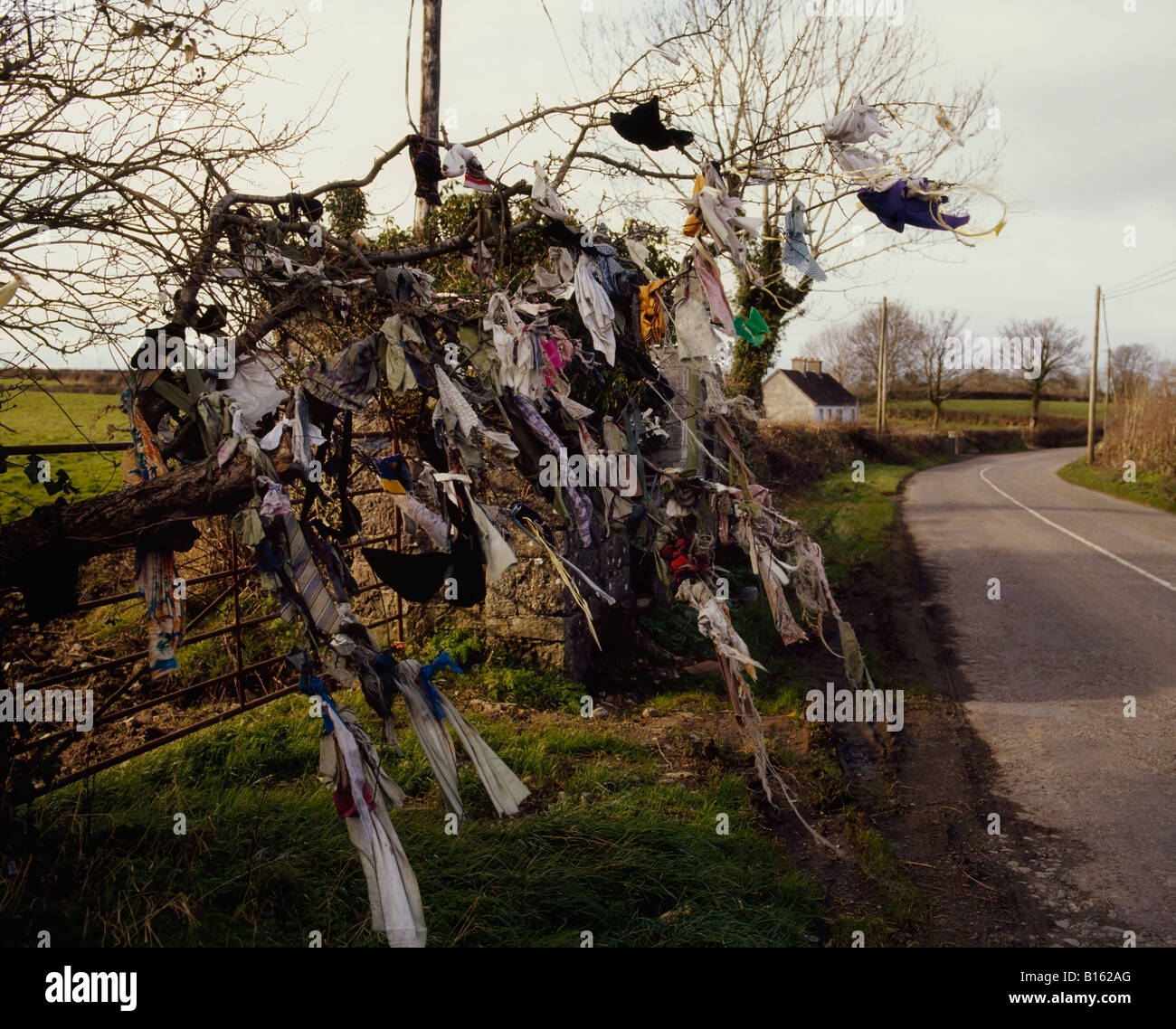 Prayertree hi-res stock photography and images - Alamy