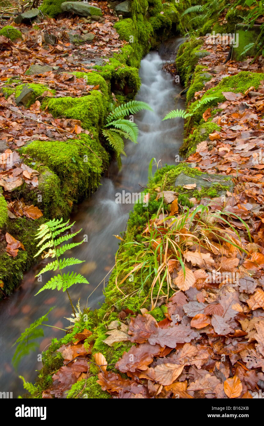English ountryside hi-res stock photography and images - Alamy