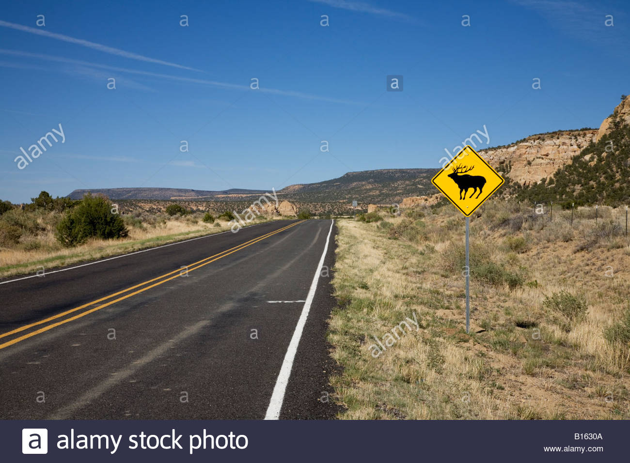 Elk Warning High Resolution Stock Photography and Images - Alamy