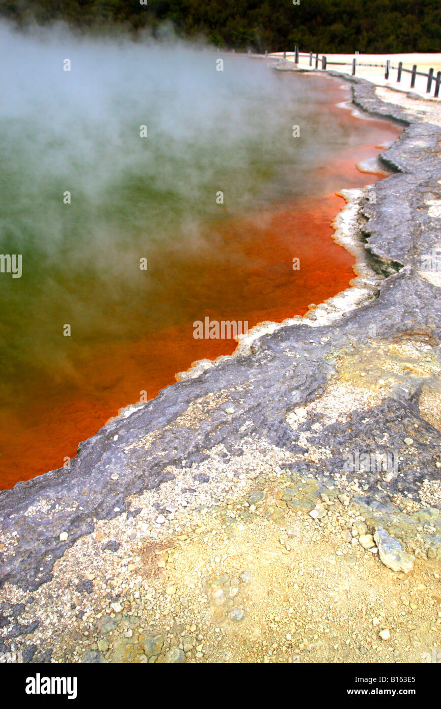 Champagne pool, NZ Stock Photo - Alamy