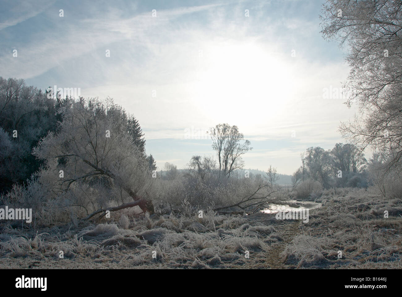 Winterly landscape with hoar frost stream and morning sun Stock Photo ...