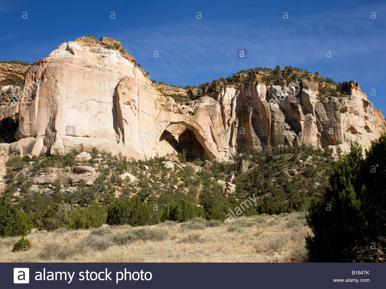 Ventana Wilderness High Resolution Stock Photography and Images - Alamy