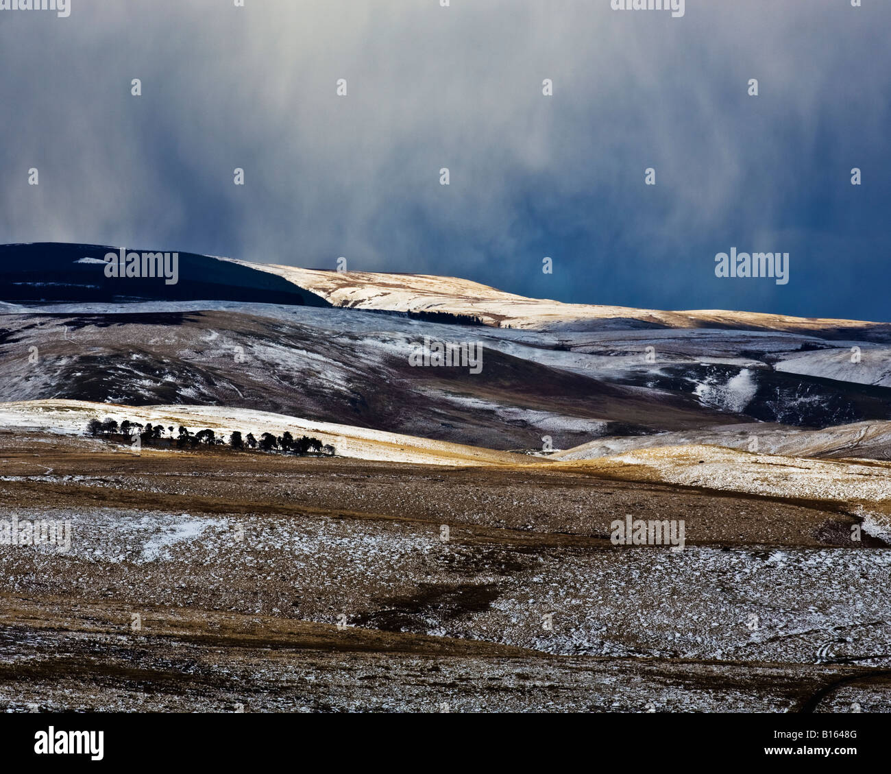 The hills of the Otterburn MOD range in the Cheviot region of the ...