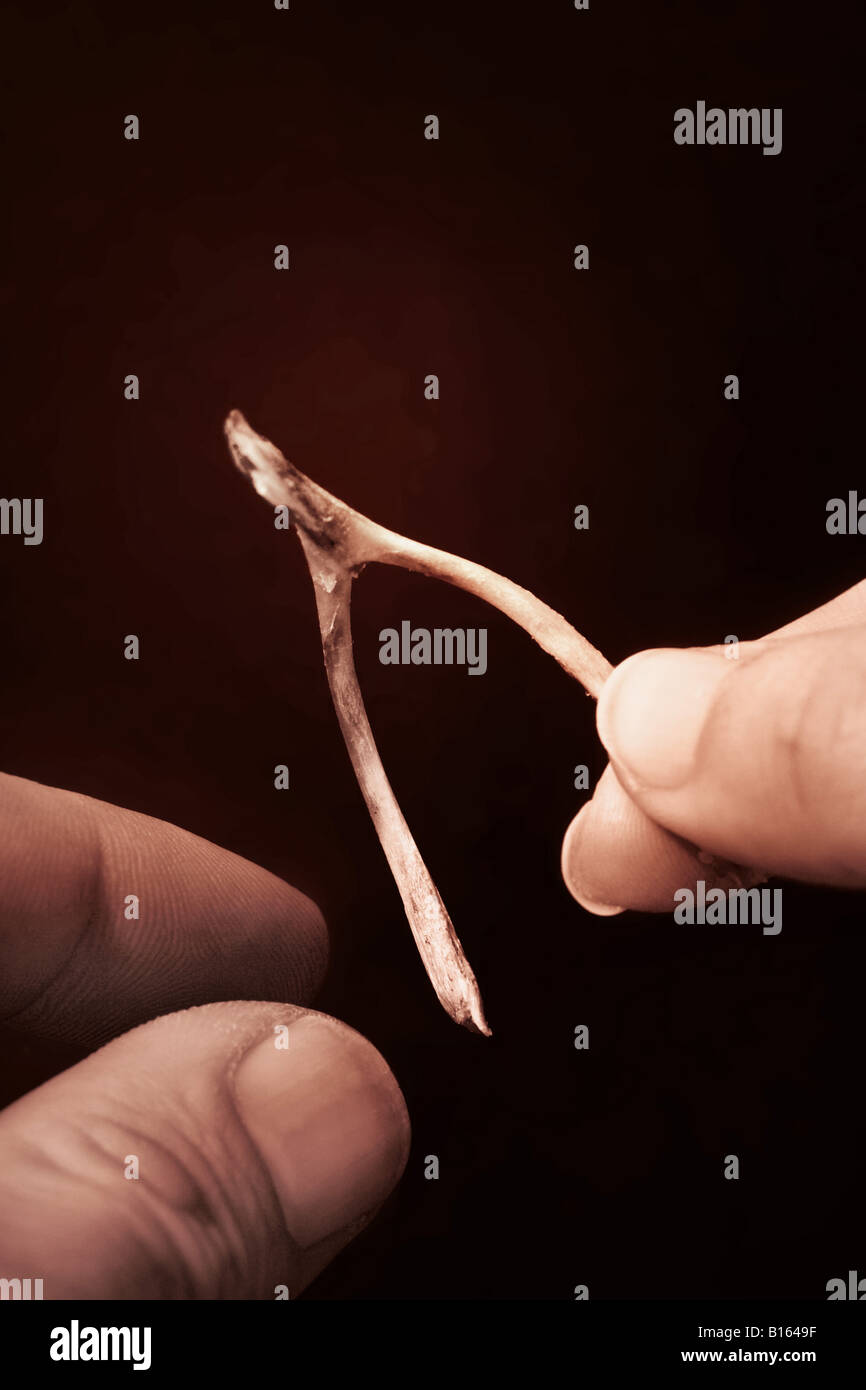 Chicken wishbone hi-res stock photography and images - Alamy