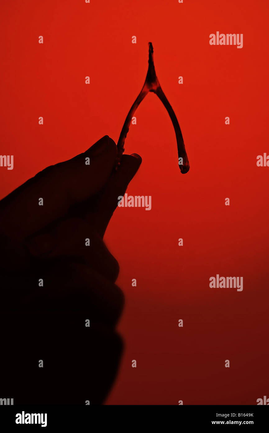 Chicken wishbone hi-res stock photography and images - Alamy