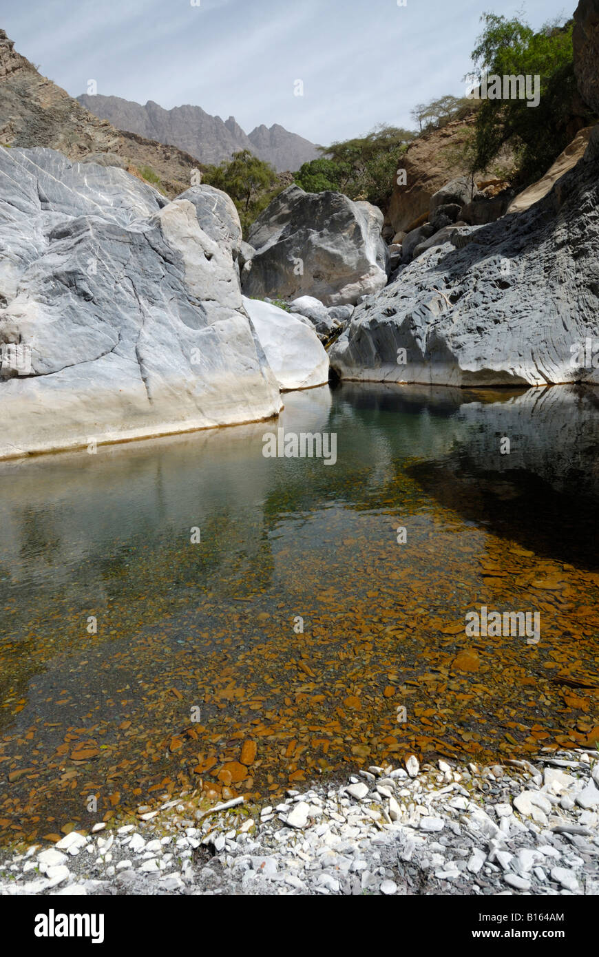 Spring water flow in the Wadi al Muaydin, Al Jabal al Akhdar massif ...