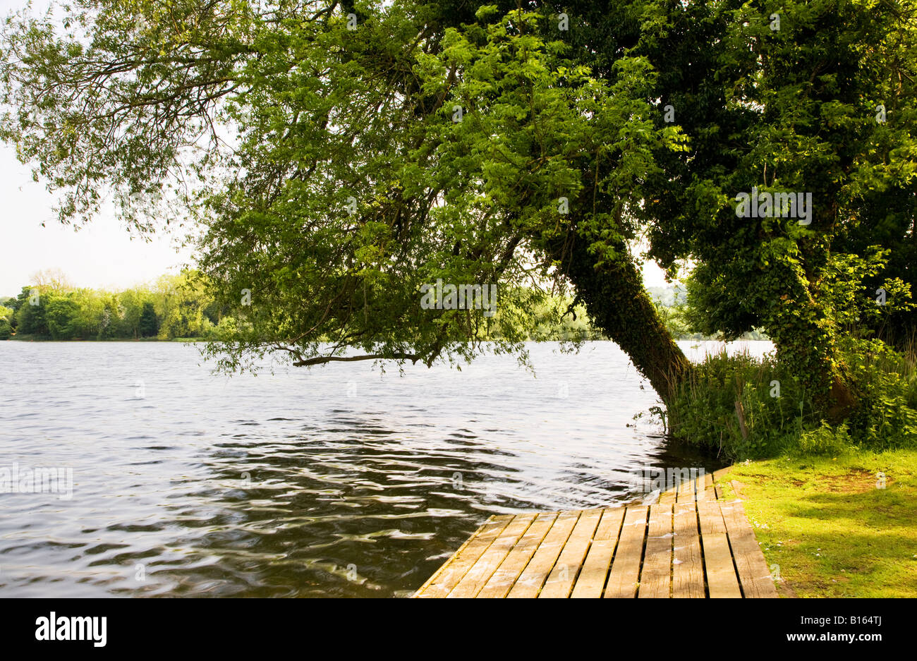 The lake on a sunny day in summer at Coate Water Country Park, a local ...