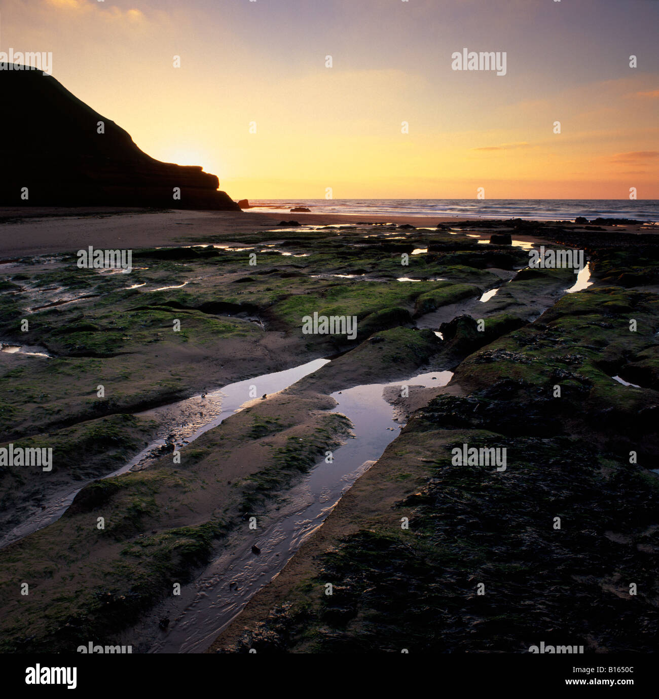 Rock pools exmouth beach devon hi-res stock photography and images - Alamy