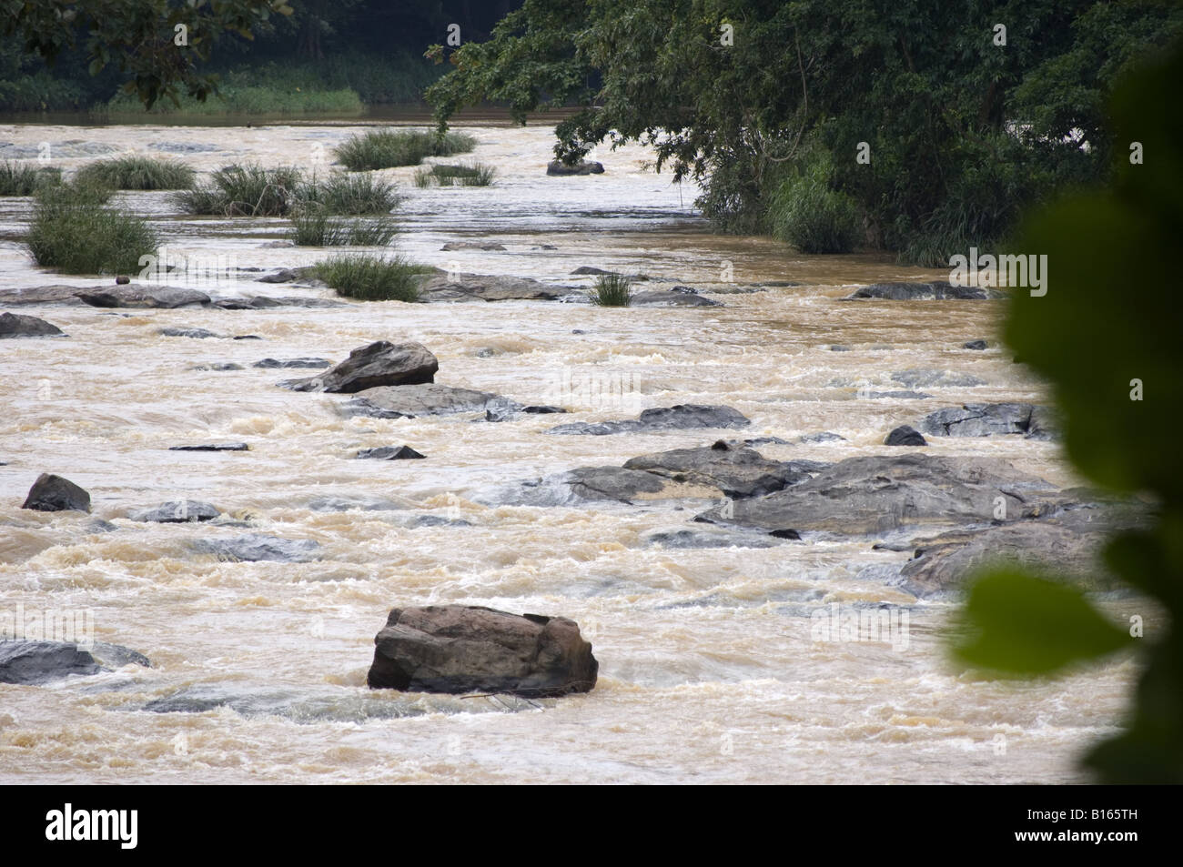 The river at Pinnewala Stock Photo - Alamy