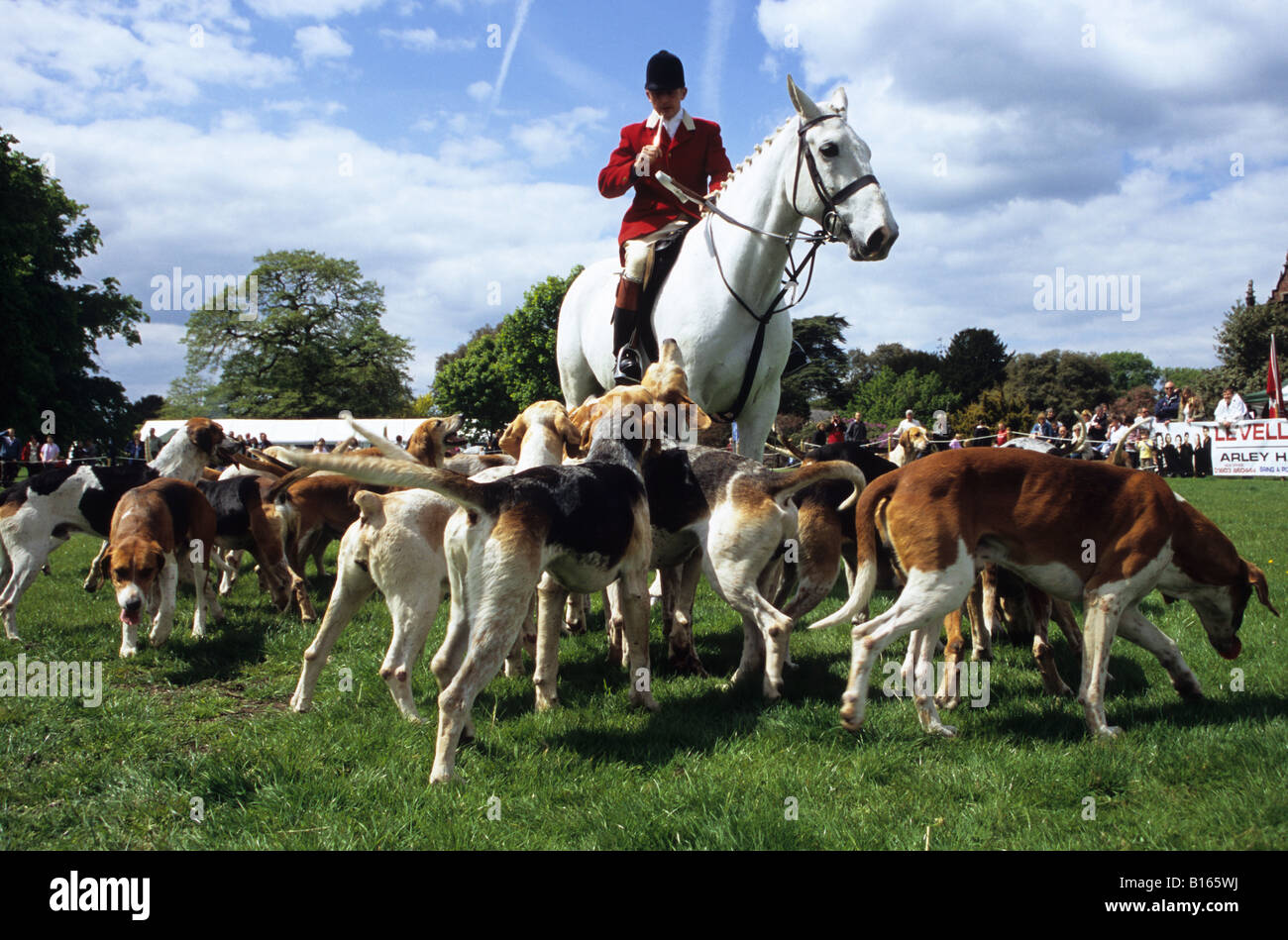 Mounted Huntsman With Hounds At Arley Horse Trials Stock Photo - Alamy