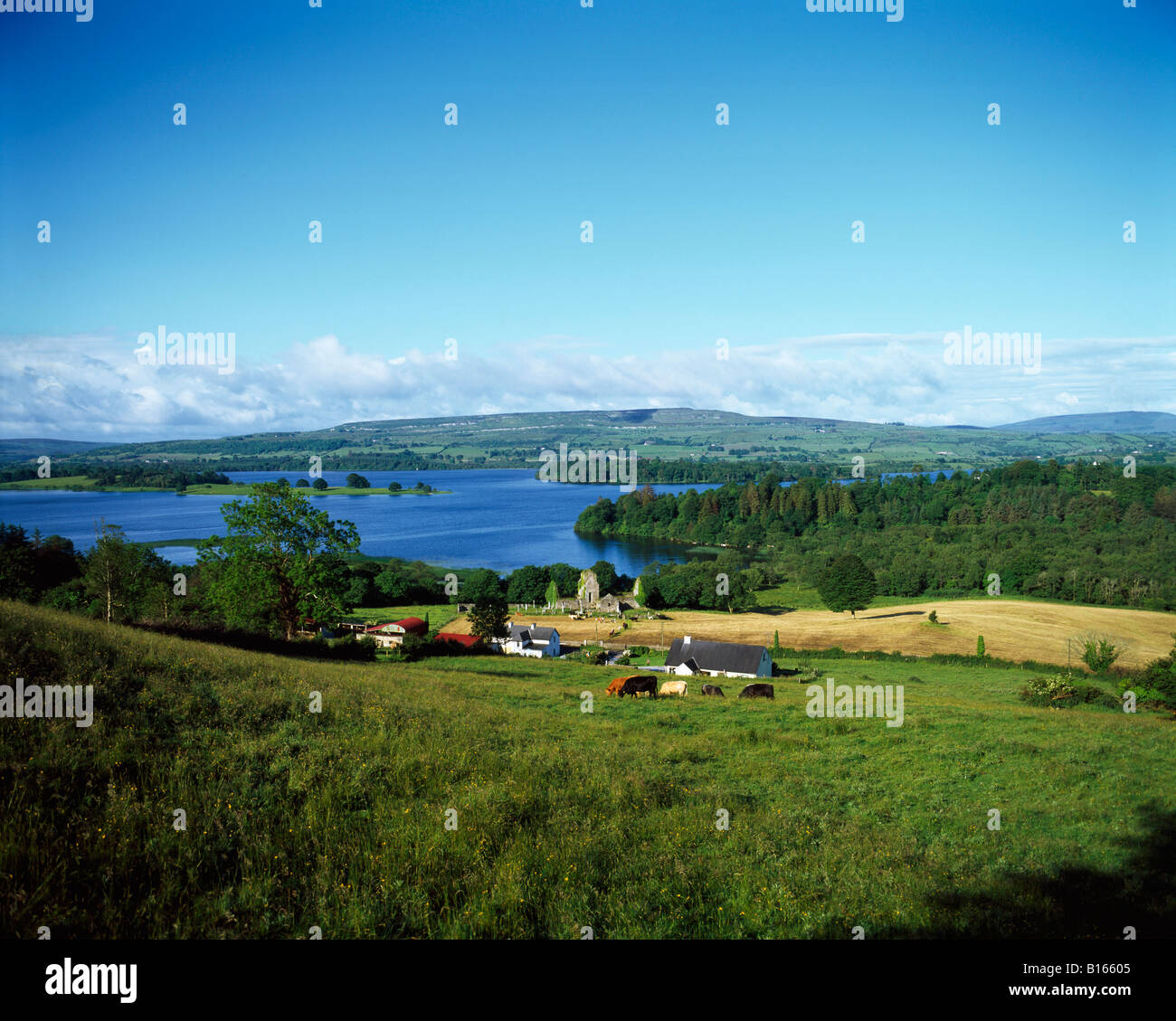 Lough Arrow, County Sligo, Ireland Stock Photo - Alamy