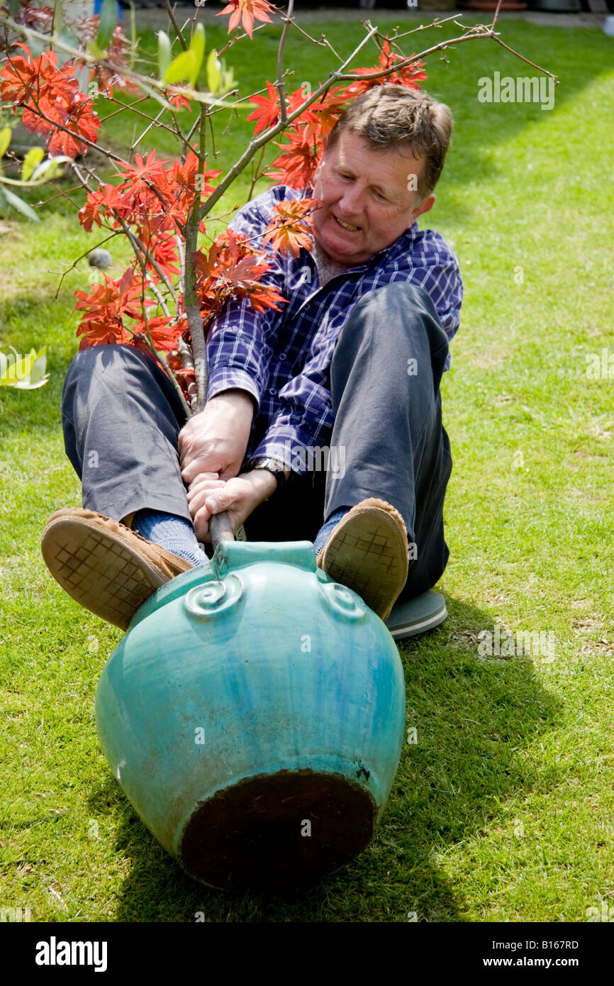 Mature man struggling to remove a plant from its pot Stock Photo - Alamy
