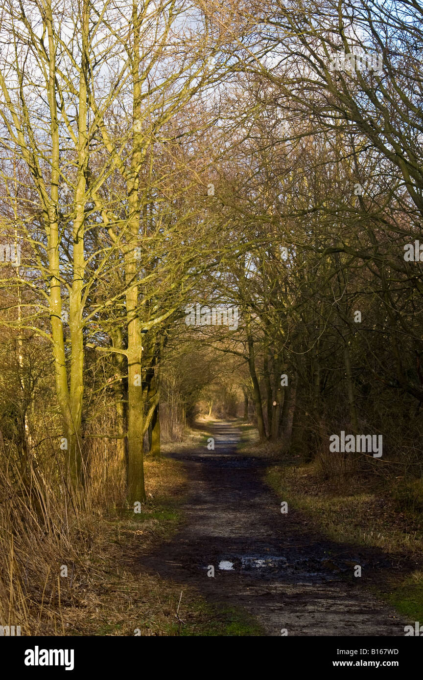 Van persijn hi-res stock photography and images - Alamy