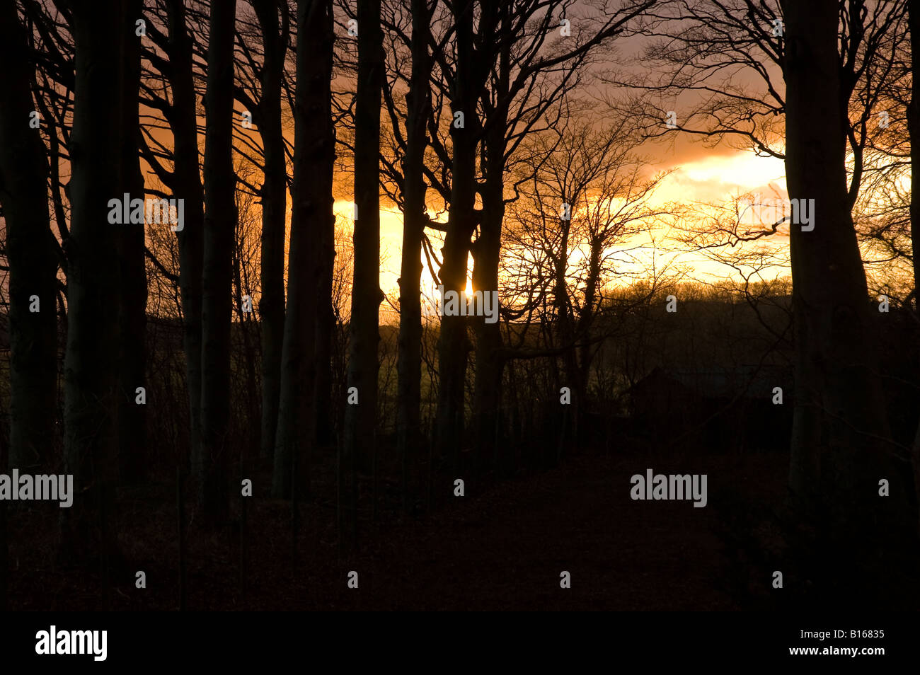 Van persijn hi-res stock photography and images - Alamy