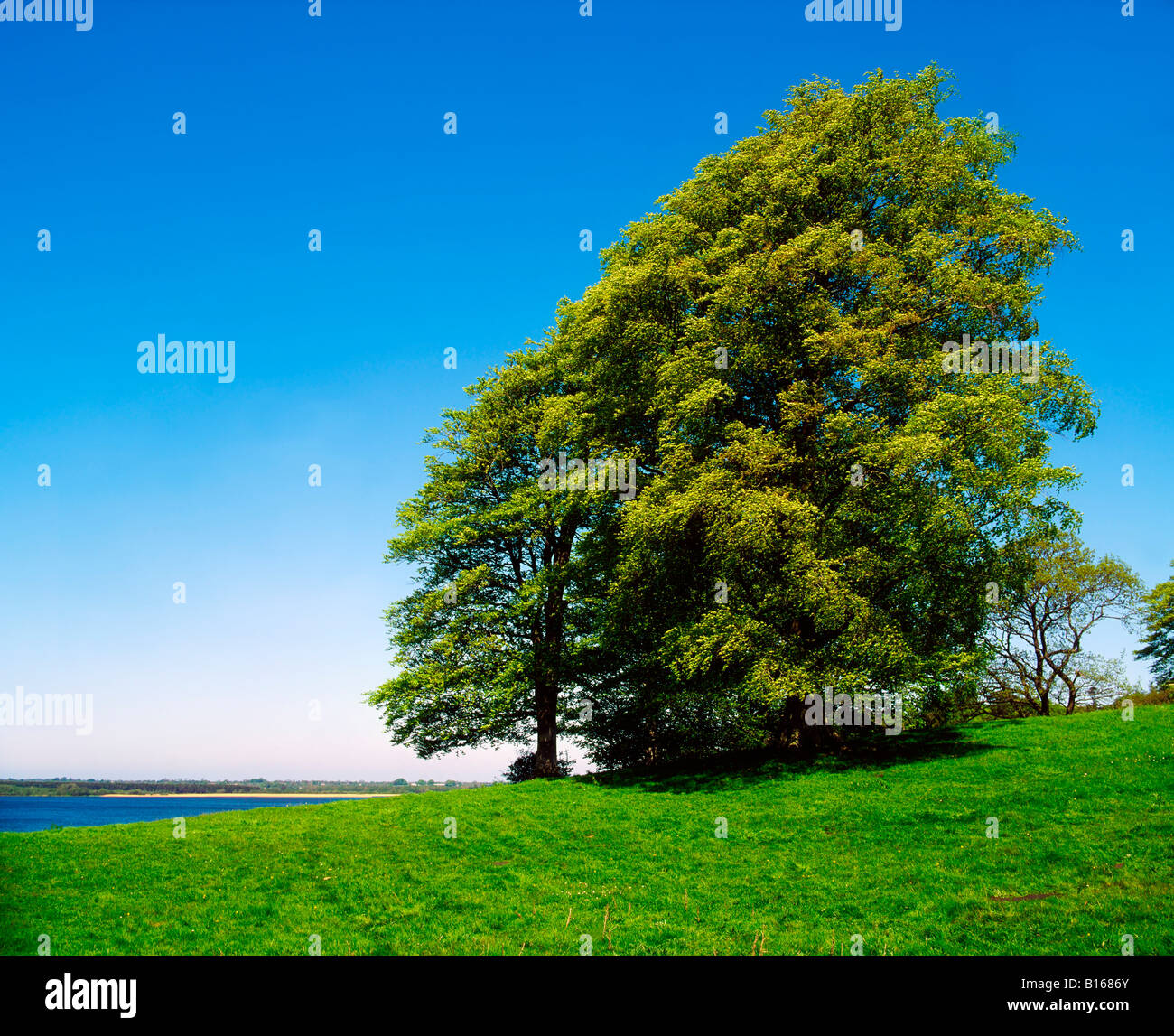Lough Ennell, County Westmeath, Ireland Stock Photo - Alamy