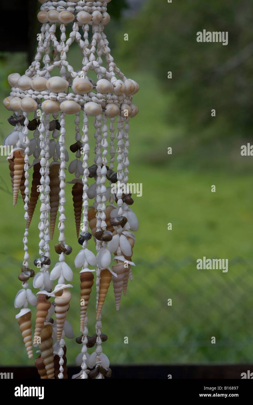 Winkle shell hi-res stock photography and images - Alamy