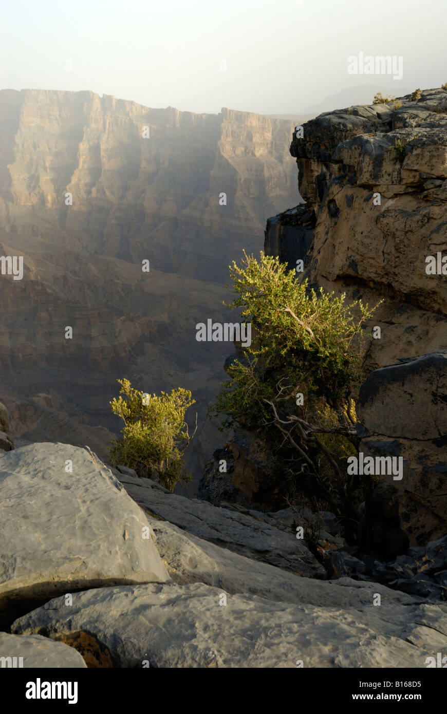 Looking into Wadi Ghul, a 3000 ft canyon below Jebel Shams, Oman's ...