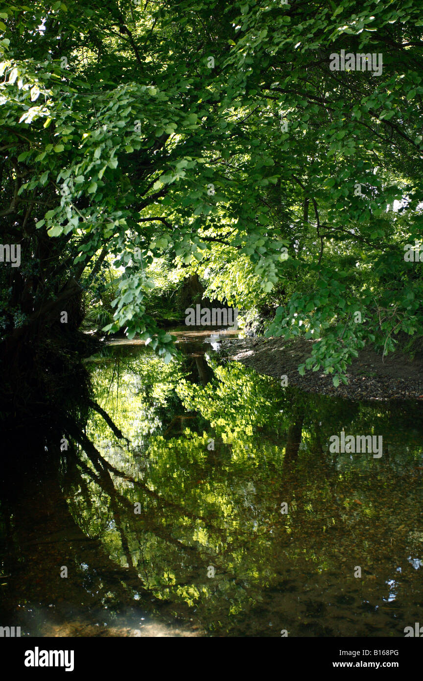 The River Ravensbourne as it passes through Beckenham Place Park ...