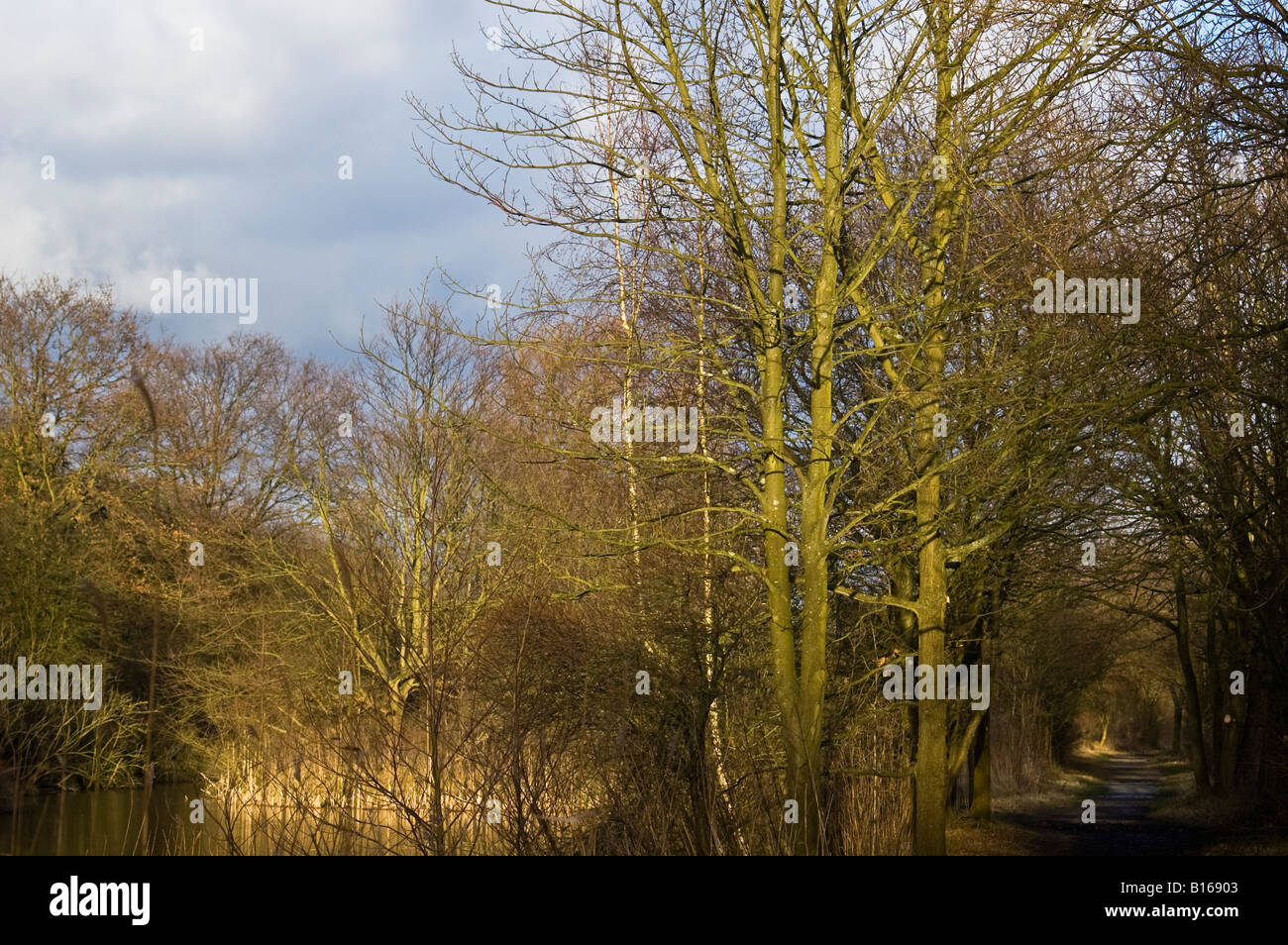 Van persijn hi-res stock photography and images - Alamy