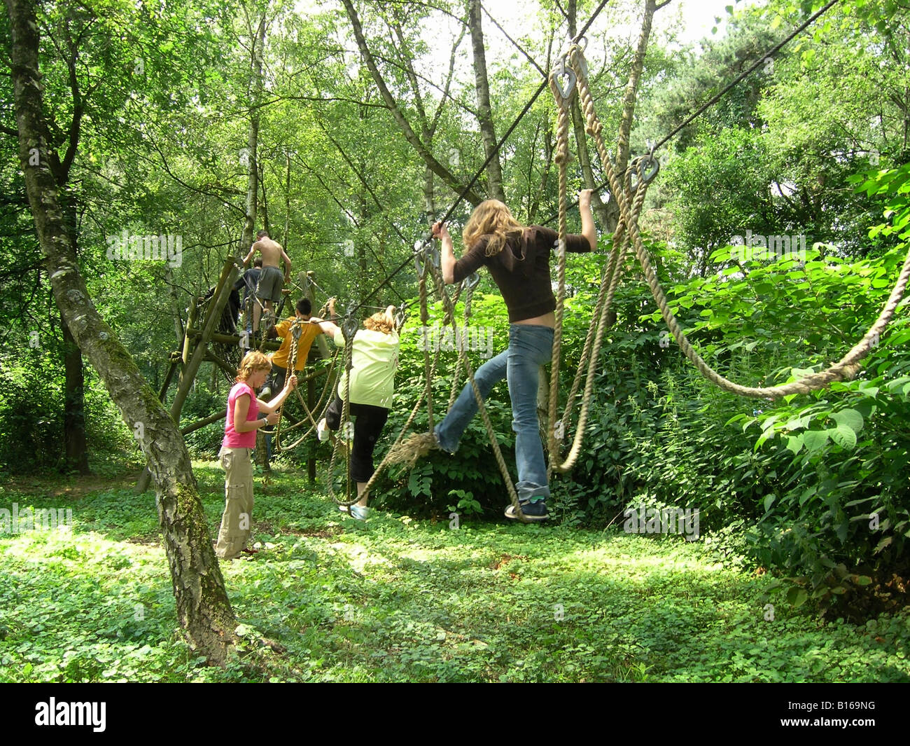 students holding on to climbing ropes at school camp Stock Photo - Alamy