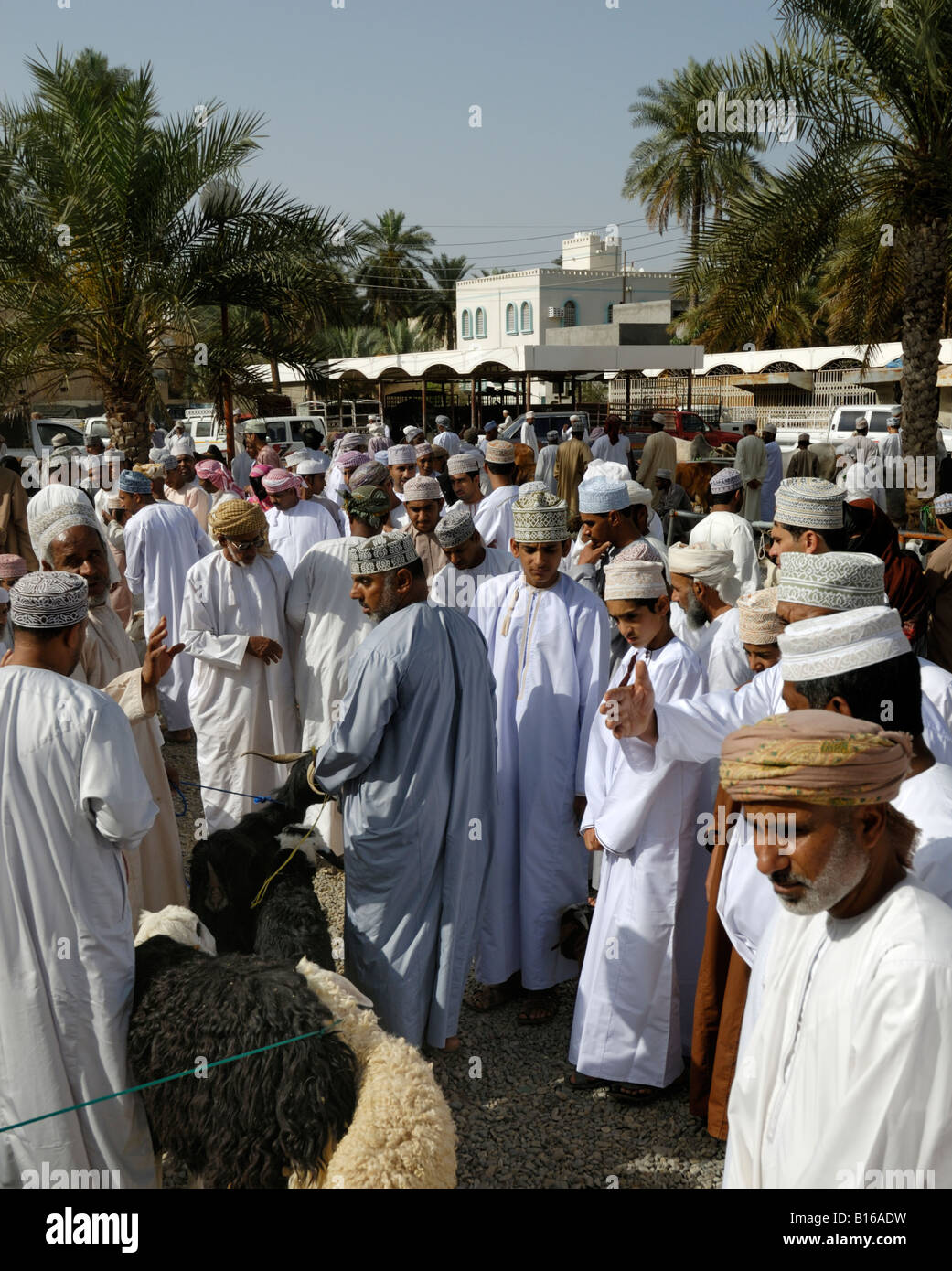 The weekly animal market or souk in the town of Nizwa, Sultanate of ...