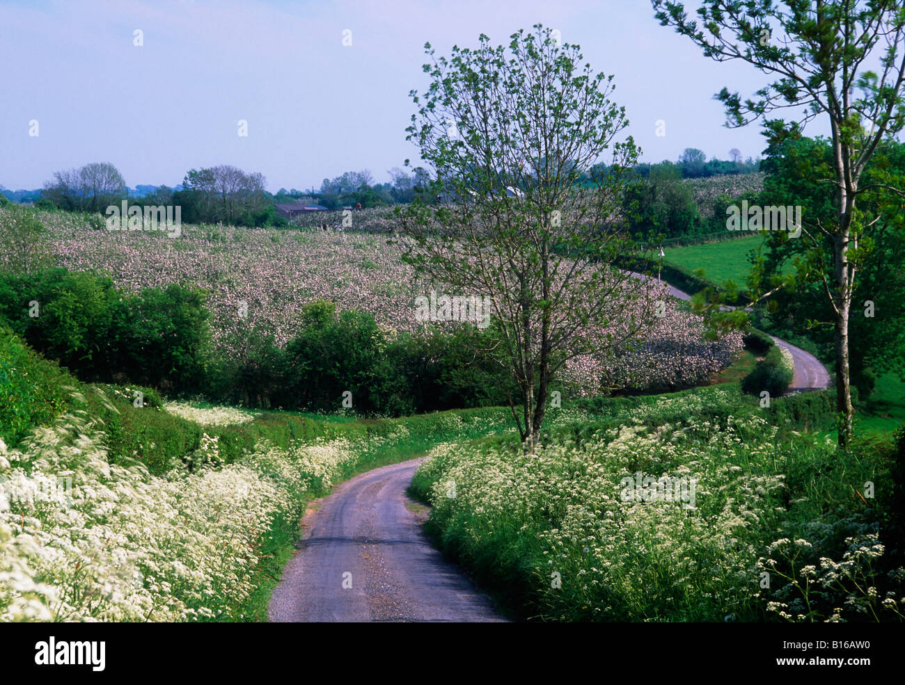 County armagh countryside hi-res stock photography and images - Alamy
