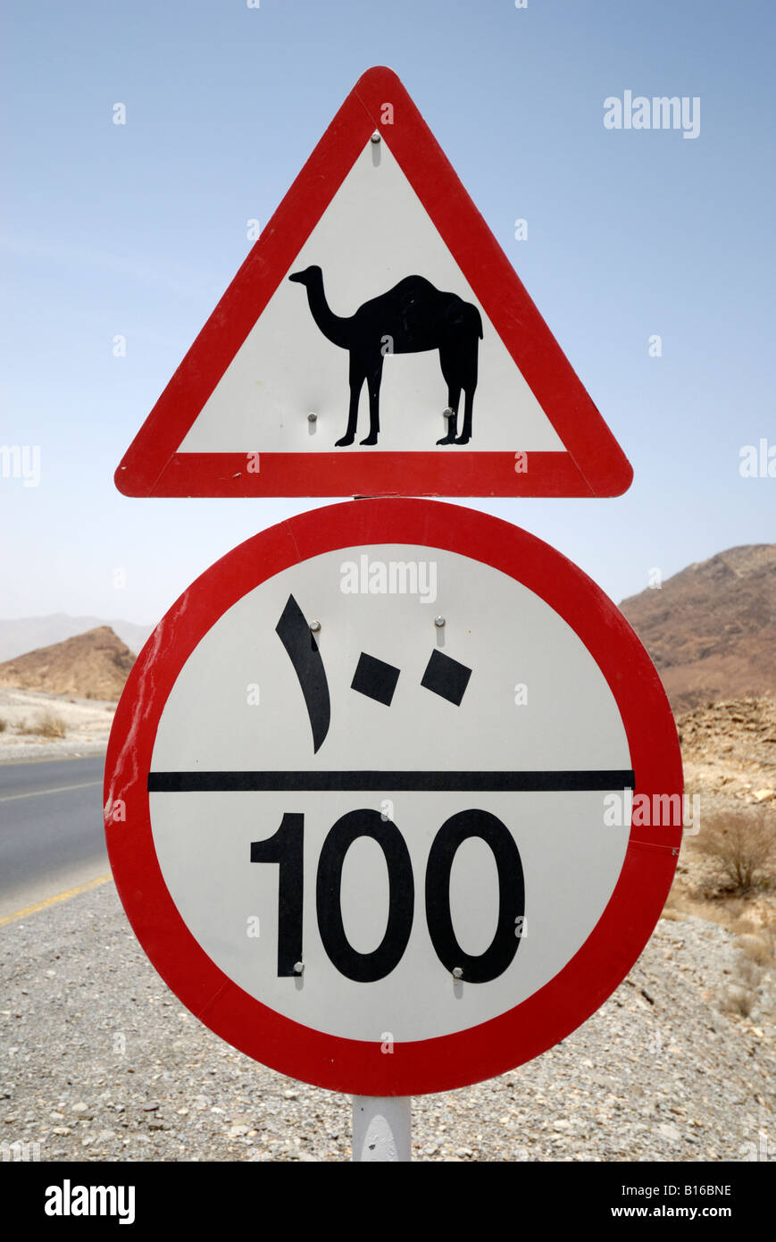 Speed limit for camels! Road sign on the Muscat - Nizwa road, Sultanate ...
