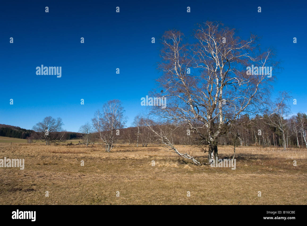 Landscape secluded green sand hi-res stock photography and images - Alamy