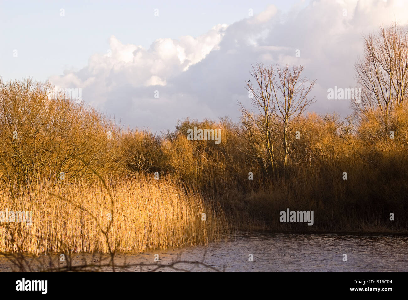 Van persijn hi-res stock photography and images - Alamy