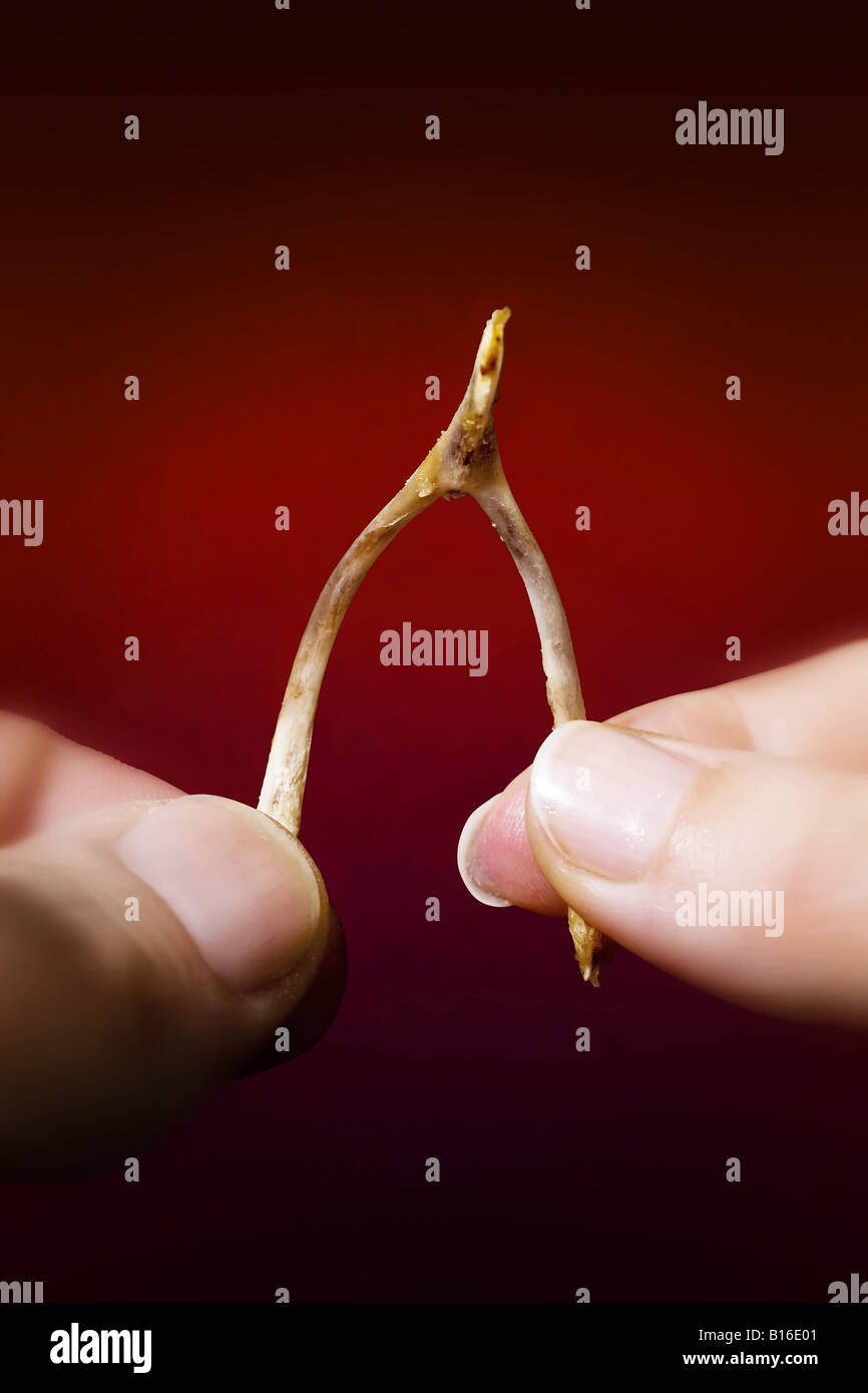 Wish bone hi-res stock photography and images - Alamy