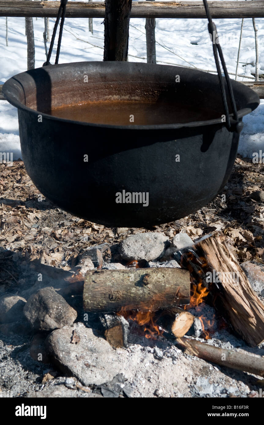 A caldron filled with sap heated by campfire in order to produce maple ...